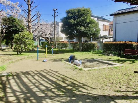子の神中央公園の桜園内の桜と住宅街の桜並木を同時に楽しめる場所