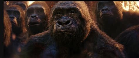 Characters In Monsterverse Hollow Earth Tv Tropes