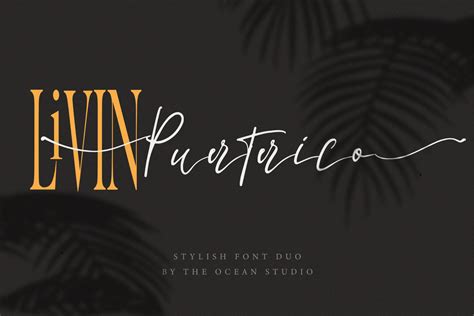 La Lune Script Font Jolicia Type Foundry FontSpace