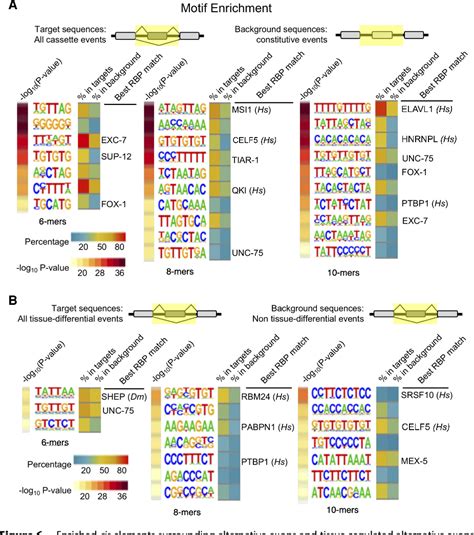 Figure 1 From Global Regulatory Features Of Alternative Splicing Across Tissues And Within The