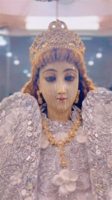 Live Ikaanim Na Araw Ng Misa Nobenaryo Sa Karangalan Ni Sta Ines Ng Roma Enero 17 2025