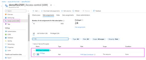 Azure Firely How To Connect To Azue Fhir Service Using A C Console