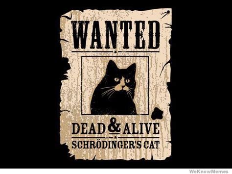 Wanted Dead Or Alive Schrodingers Cat Startalk Radio Show By Neil Degrasse Tyson Startalk