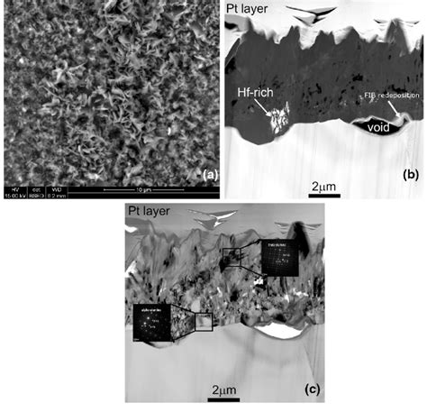 Sem Bse Image Of The Surface Microstructure A Stem Haadf B And Bf
