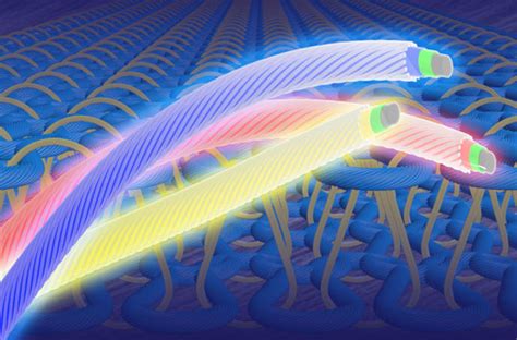 High Luminance Fiber Based Polymer Light Emitting Devices By A Dip