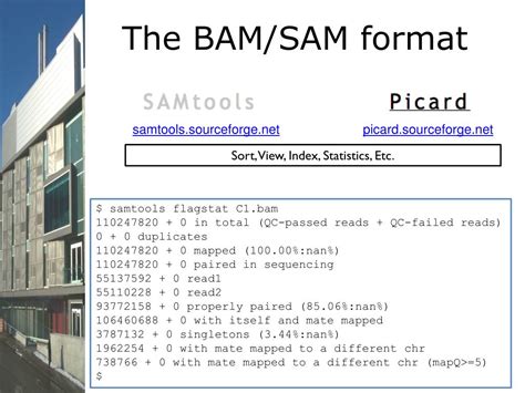 Ppt Rnaseq Analysis Powerpoint Presentation Free Download Id2214204