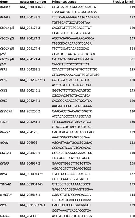 Forward And Reverse Primer Sequences Gene Accession Numbers And