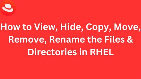 Class 2 Red Hat File Management Commands Move Remove Rename Copy Hide The Files
