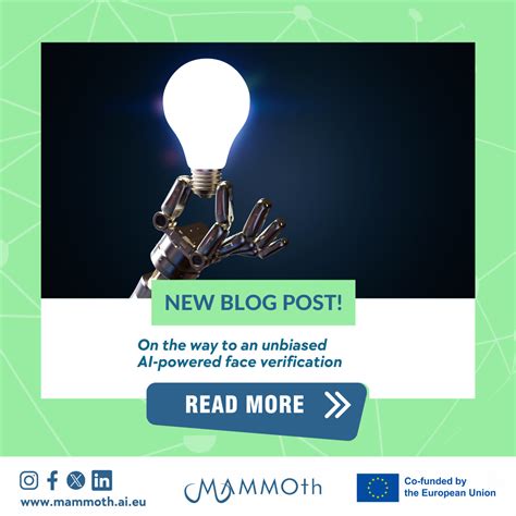 On The Way To An Unbiased AI Powered Face Verification Mammoth