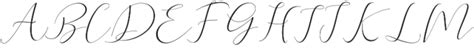Silluettes Regular Otf 400 Font Script Elegant What Font Is