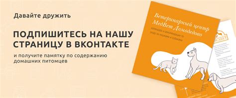 Ветеринарная хирургия, ортопедия для собак и кошек | ВЦ МЕДВЕТ Домодедово