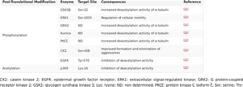 Post Translational Modifications Regulating The Activity Of Hdac6