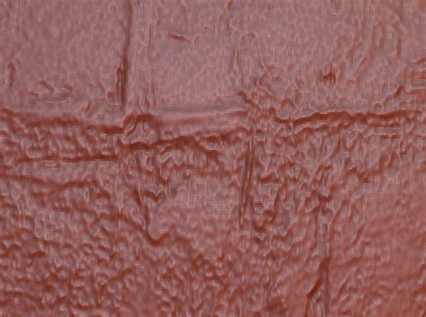 Photographic Alphas High Subdivs Zbrushcentral