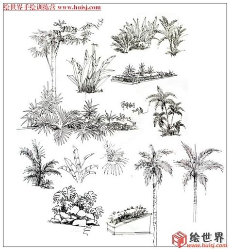 Trees Sketch Landscape Sketch Plant Sketches Tree Sketches
