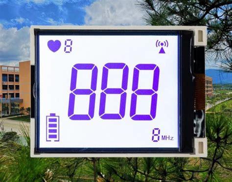 LCD Screen Monochrome LCD Display For Medical Equitment LCD Module And LCD Panel Price