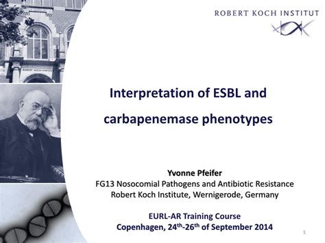 Interpretation Of Esbl And Carbapenemase Phenotypes Docslib