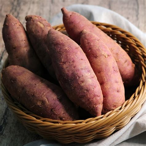 23년수확 해남 햇 꿀밤고구마 특상 2kg 홈플러스 택배배송