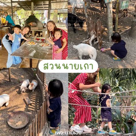 📍แจกพิกัด คาเฟ่เด็ก ในเชียงราย Ep 2 แกลเลอรีที่โพสต์โดย Heydayartist