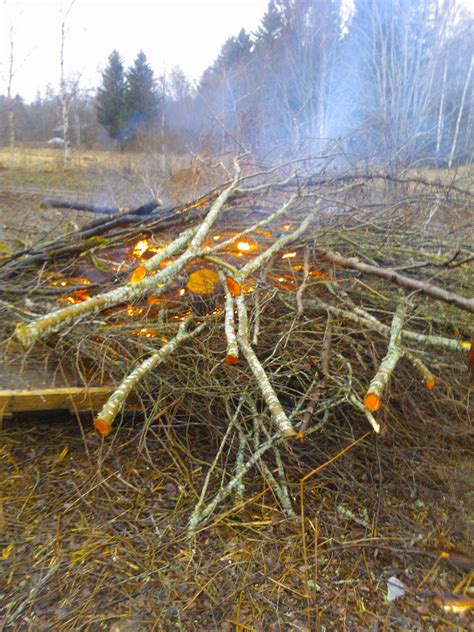 Lev Mer På Mindre Elda Ris