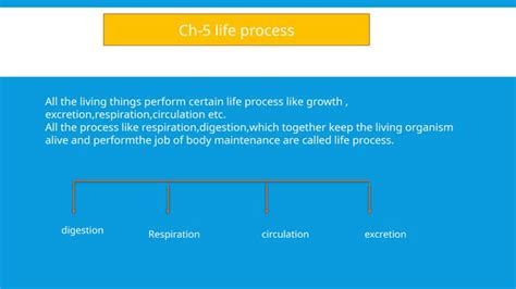 Life Processes Class 10th Ppt Pptx