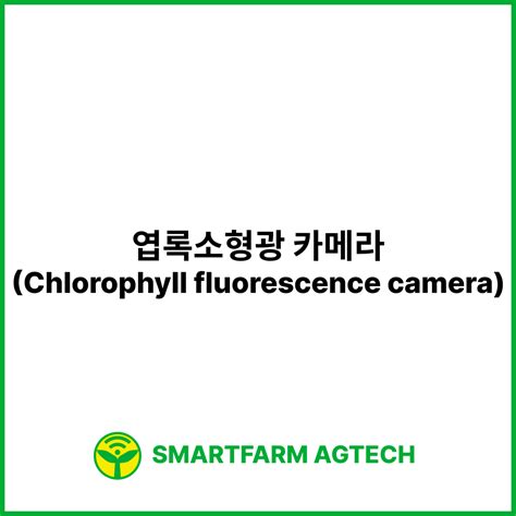 엽록소형광 카메라 chlorophyll fluorescence camera 스마트팜피디아 smartfarm pedia