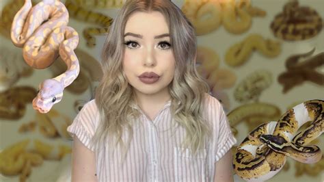 LET S TALK ABOUT BALL PYTHONS Morphs Prices More YouTube