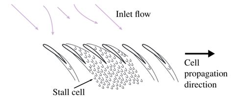 12 Stall Cell Propagation Emmons Et Al 1955 Adapted From Tan Et