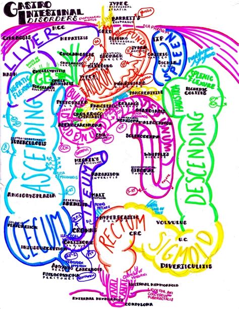 Pediatric Medicine Notes Hansonsanatomy Artofit
