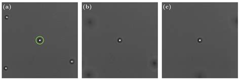 Figure 8 13 — Optically Trapped Particle — Optical Tweezers Principles