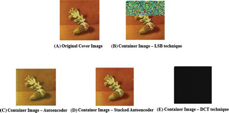 Image Steganography Using Deep Neural Networks