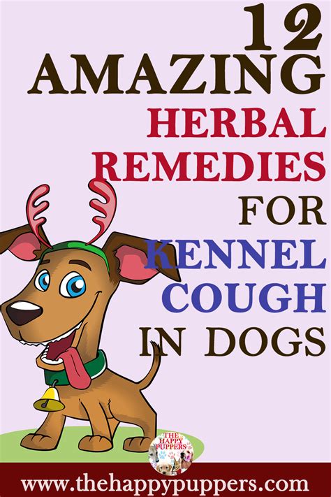 Use Herbal Remedies To Treat Kennel Cough In Dogs