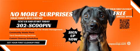 Oop Scoop Newark De