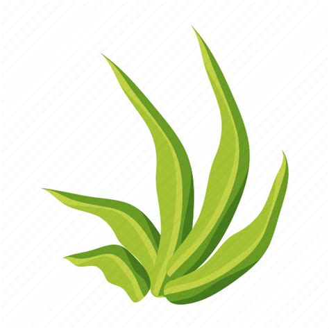 Grass Turf Grass Patch Garden Grass Scutch Grass Icon Download On