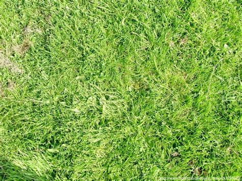 Another Agile Intro Ppt Another Agile Intro Ppt