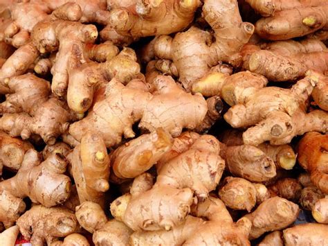 उत्पादन गरेका अदुवा बारीमा नै थन्किदा किसान चिन्तामा Sansar News