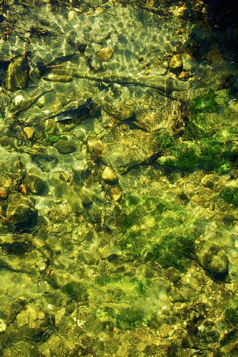 Texture Reflection Photograph By Tim Dussault Fine Art America