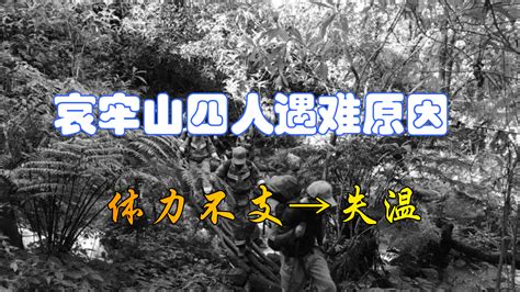 4部手机都坏了？哀牢山事件真相公布，为何还有人对结果质疑呢？ 哔哩哔哩
