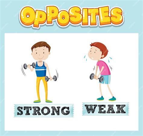 아이들을 위한 반대 영어 단어 무료 벡터