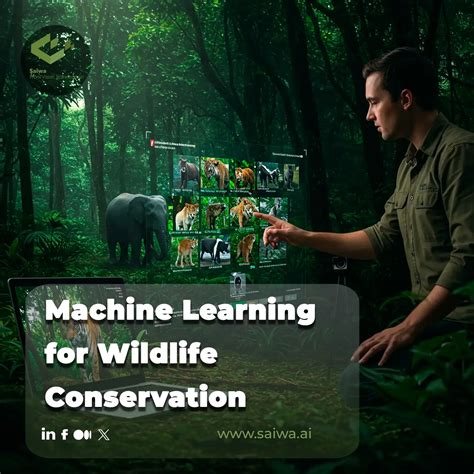 Machine Learning For Wildlife Conservation Sairone