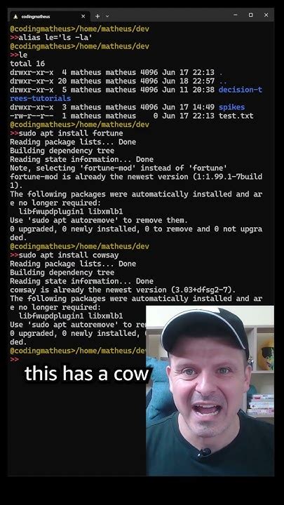 mastering bash p1 simplify your life with aliases youtube
