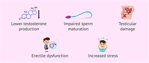 Effect Of Alcohol Consumption On Male And Female Fertility