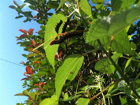 切り取られた瞬間の美 Yoshimis Blog