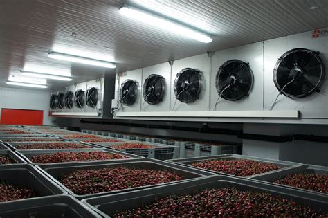Isomec Srl Sett Frigofood