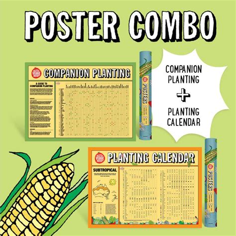 Climate Specific Planting Calendar Companion Planting Chart Combo
