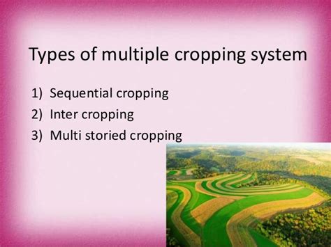 Multiple Cropping Systems