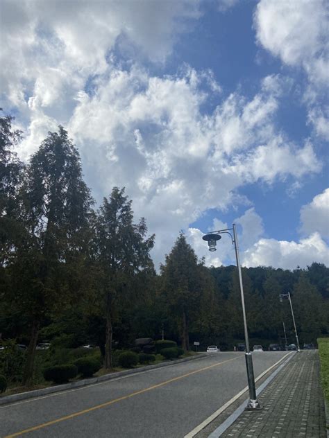 용인 용인농촌테마파크 산책힐링이 필요할 때 봄가을 추천 명소 221005 네이버 블로그