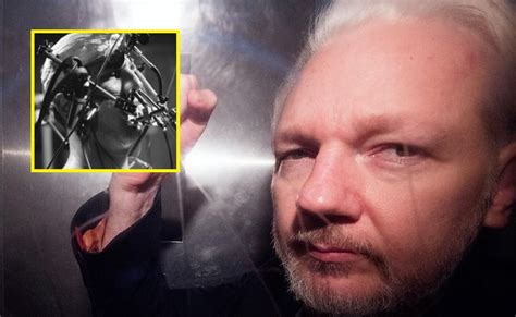 La Onu Confirma Que Assange Recibió Y Recibe Tortura Sicológica