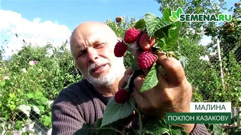 Малина Поклон Казакову - YouTube