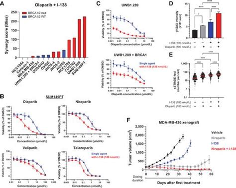 ubiquitinated pcna drives usp1 synthetic lethality in cancer