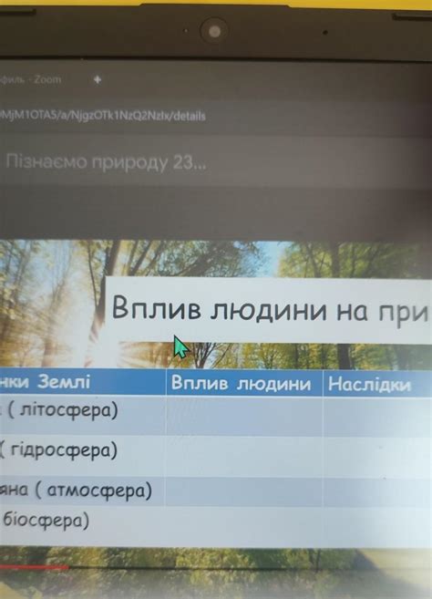 Вплив людини на природу Оболонки Землі Вплив людини Наслідки Тверда